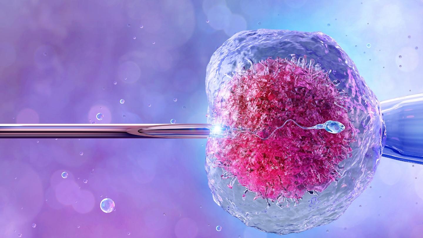 Simulation Training for wide-range of Fertility Procedures | VirtaMed